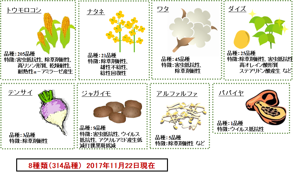 よくある質問｜日本で流通している遺伝子組み換え食品にはどのようなものがありますか。｜バイテク情報普及会